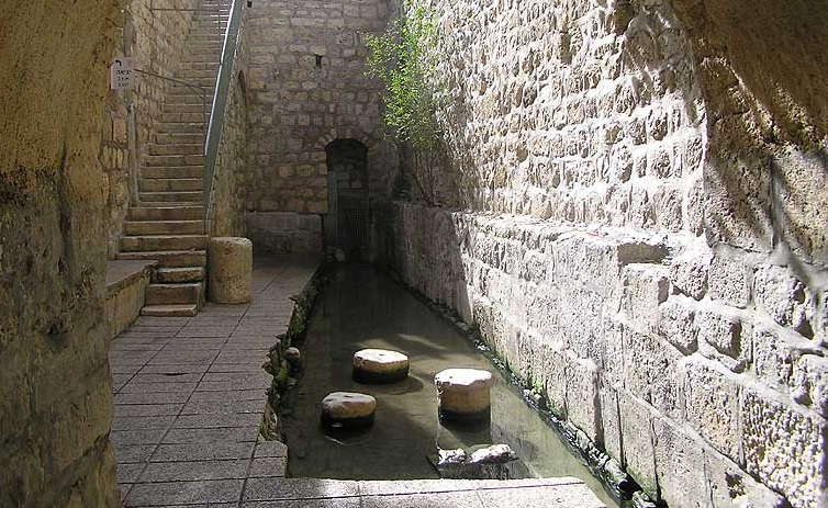 1 - http://nuestroanciano.com